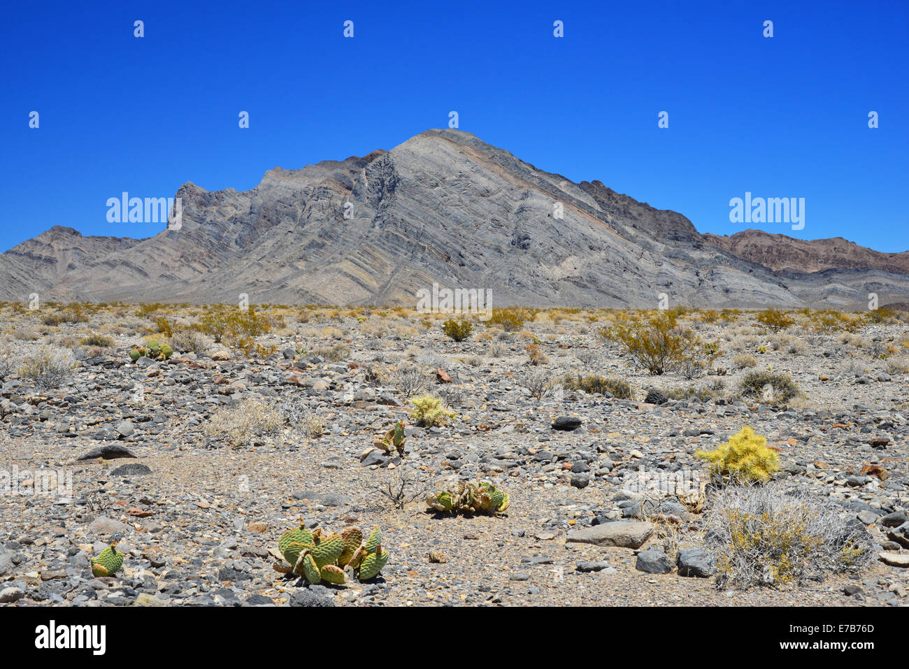 Death Valley National Park, Mojave Desert Stock Photo - Alamy