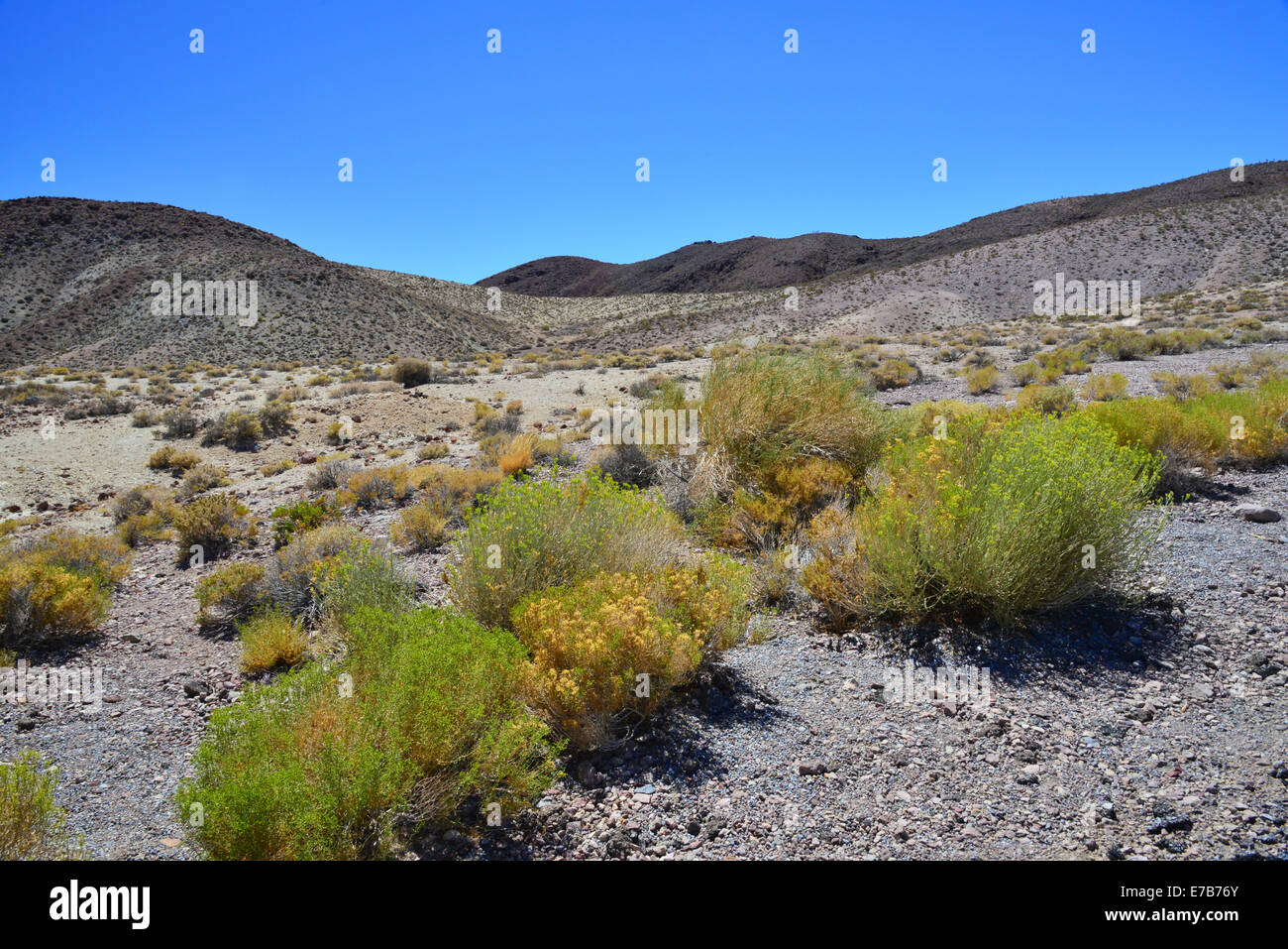 Death Valley National Park, Mojave Desert Stock Photo - Alamy