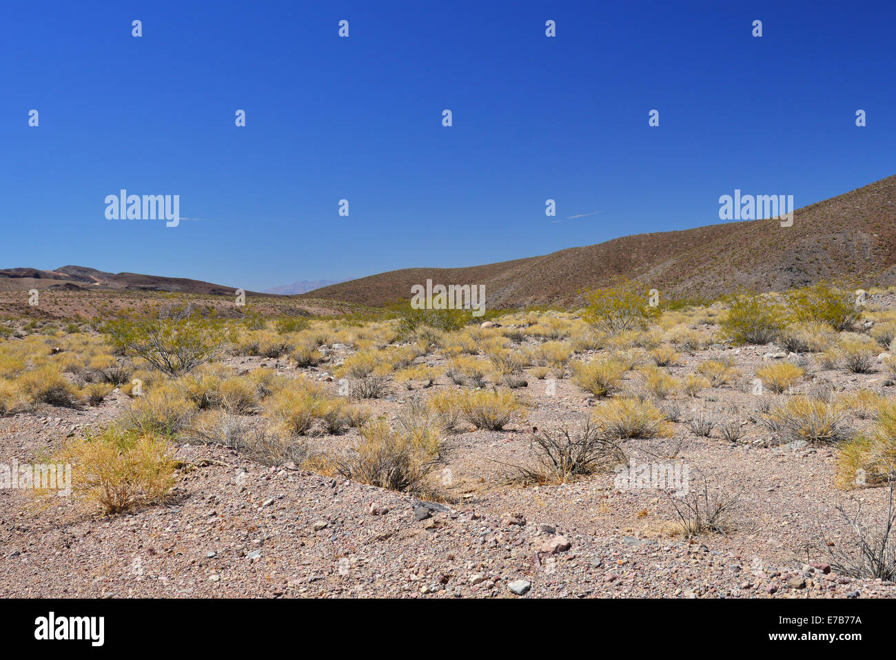 Death Valley National Park, Mojave Desert Stock Photo - Alamy