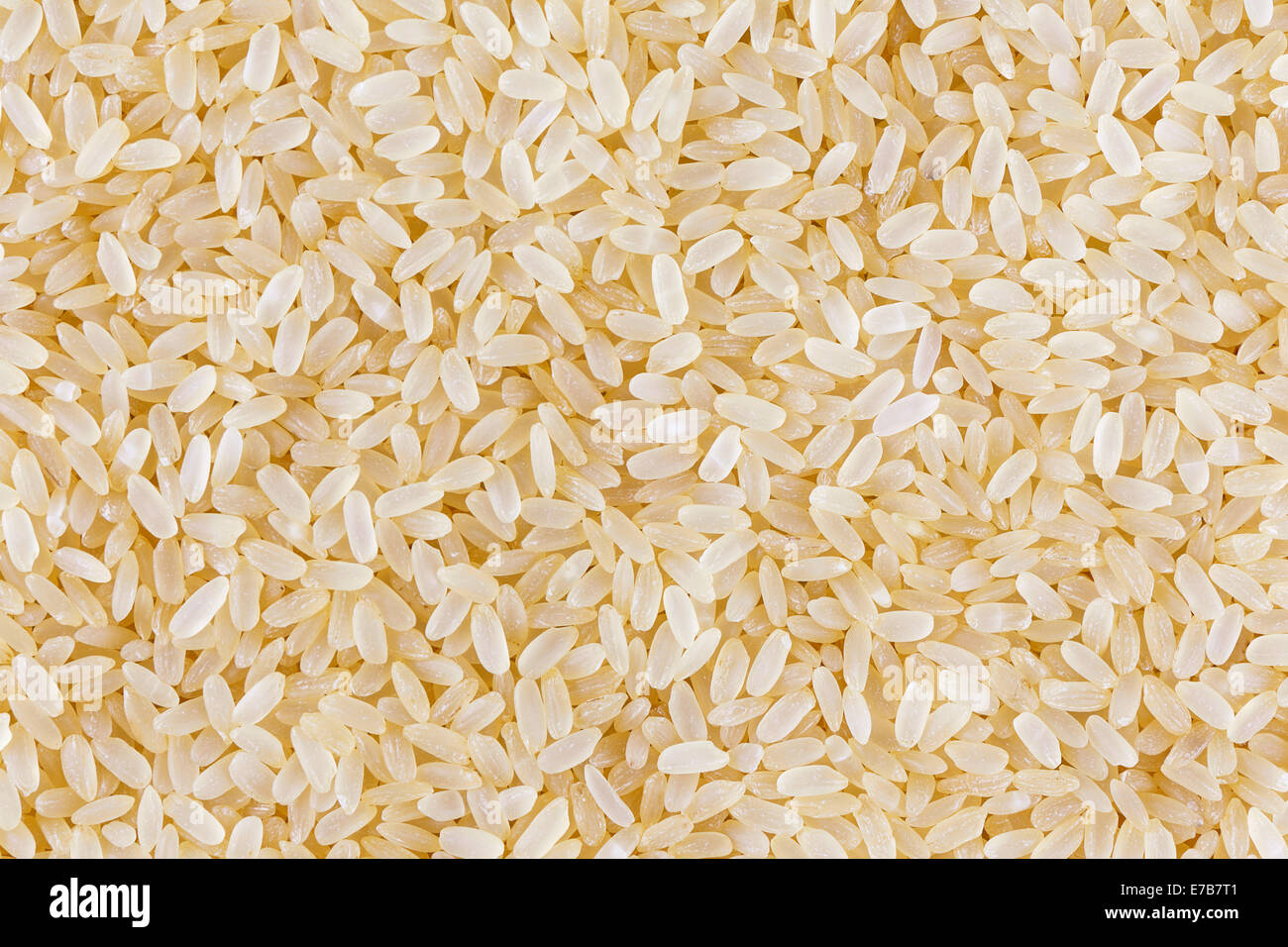 close up top view full rice macro background Stock Photo - Alamy