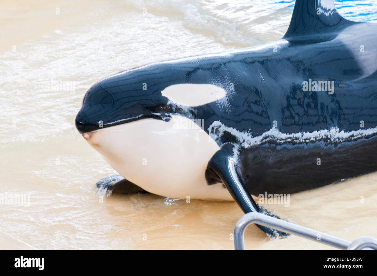 Saltwater pool hi-res stock photography and images - Alamy
