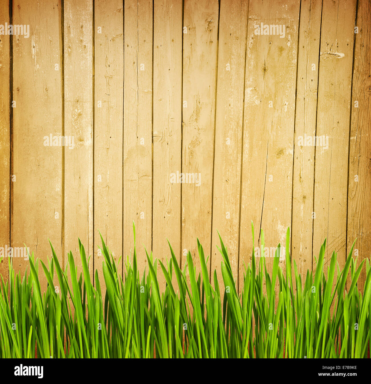Background with wooden fence and green grass Stock Photo - Alamy
