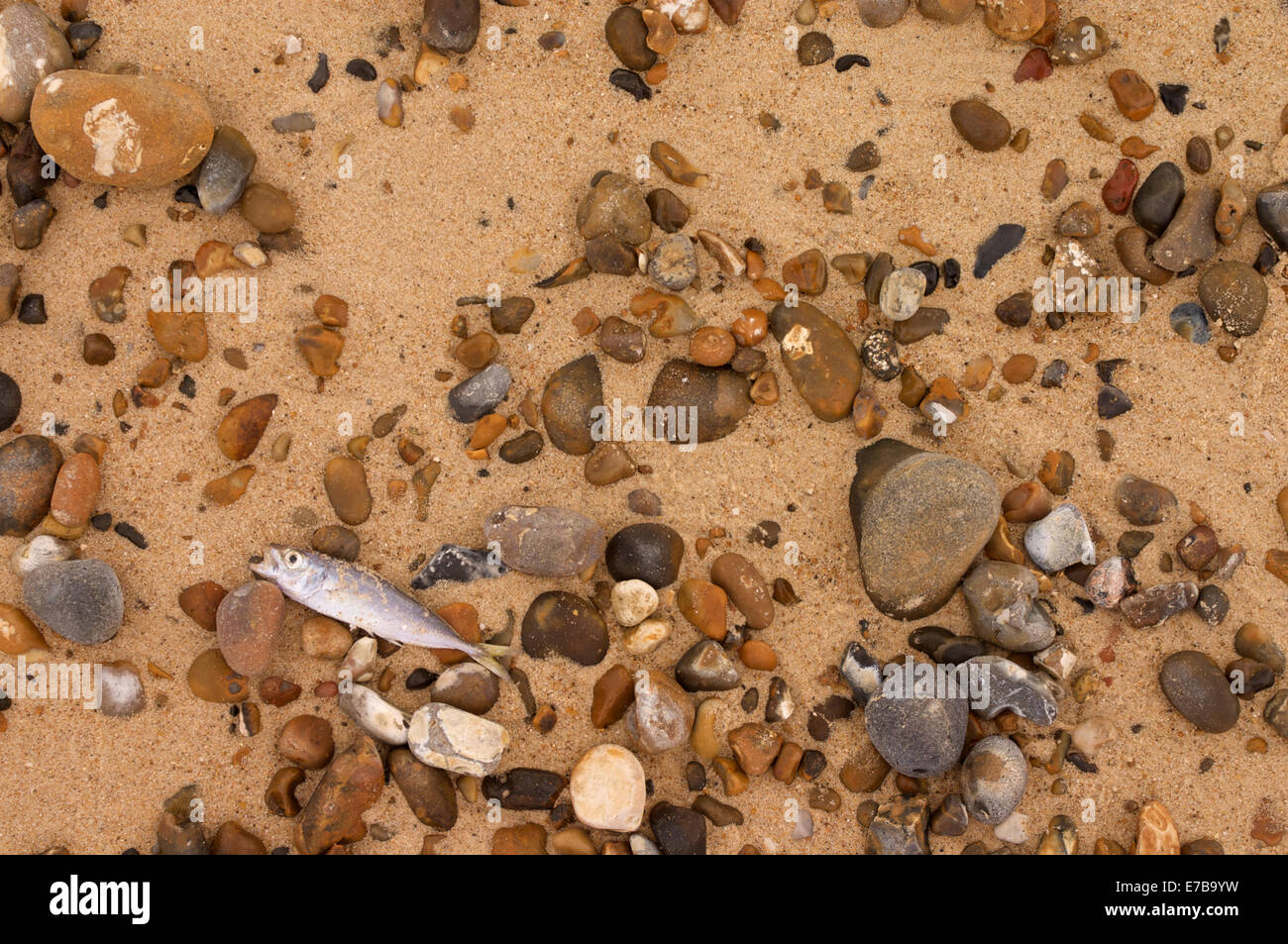 Jesus dead sea hi-res stock photography and images - Alamy