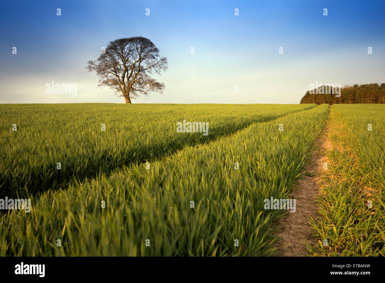 Stannington hi-res stock photography and images - Alamy