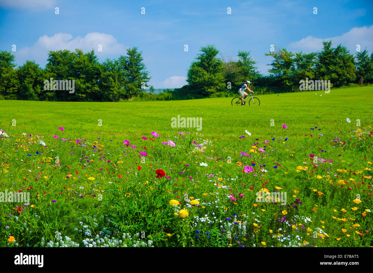 Cycling through a field hi-res stock photography and images - Alamy