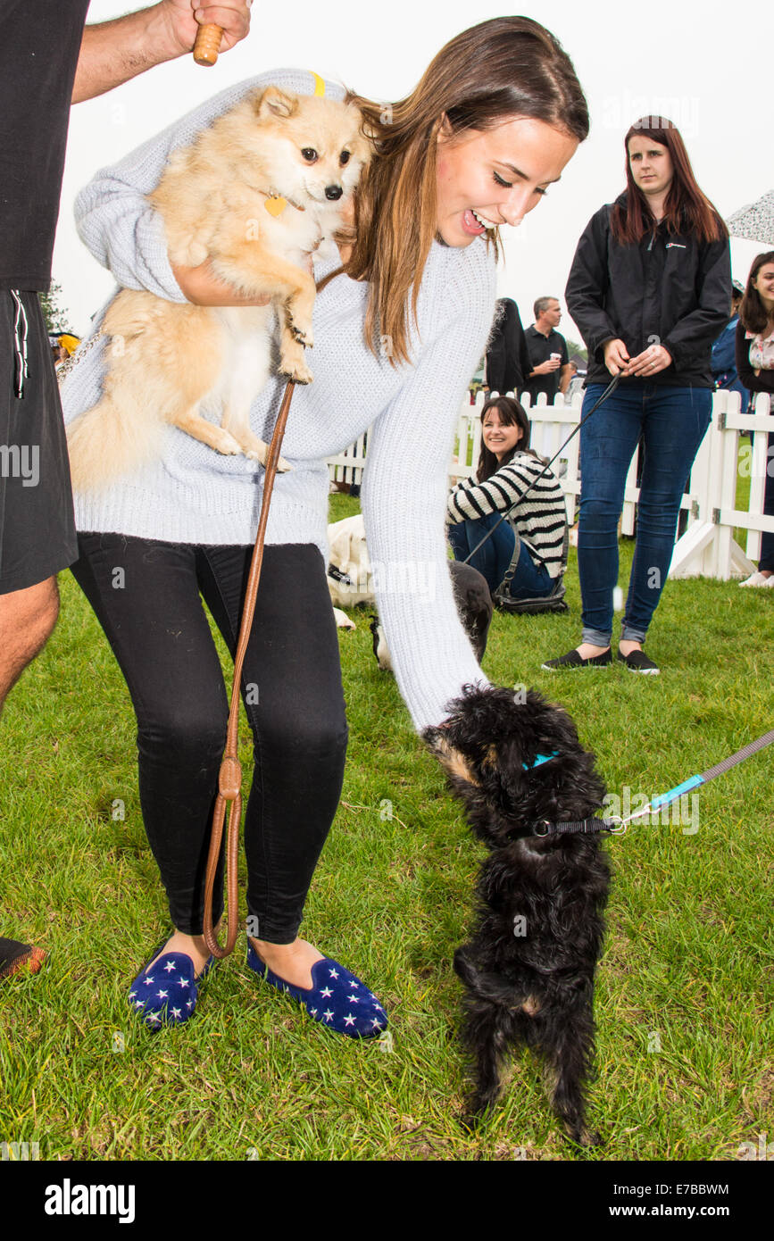 Tv celebrity vet hi-res stock photography and images - Alamy