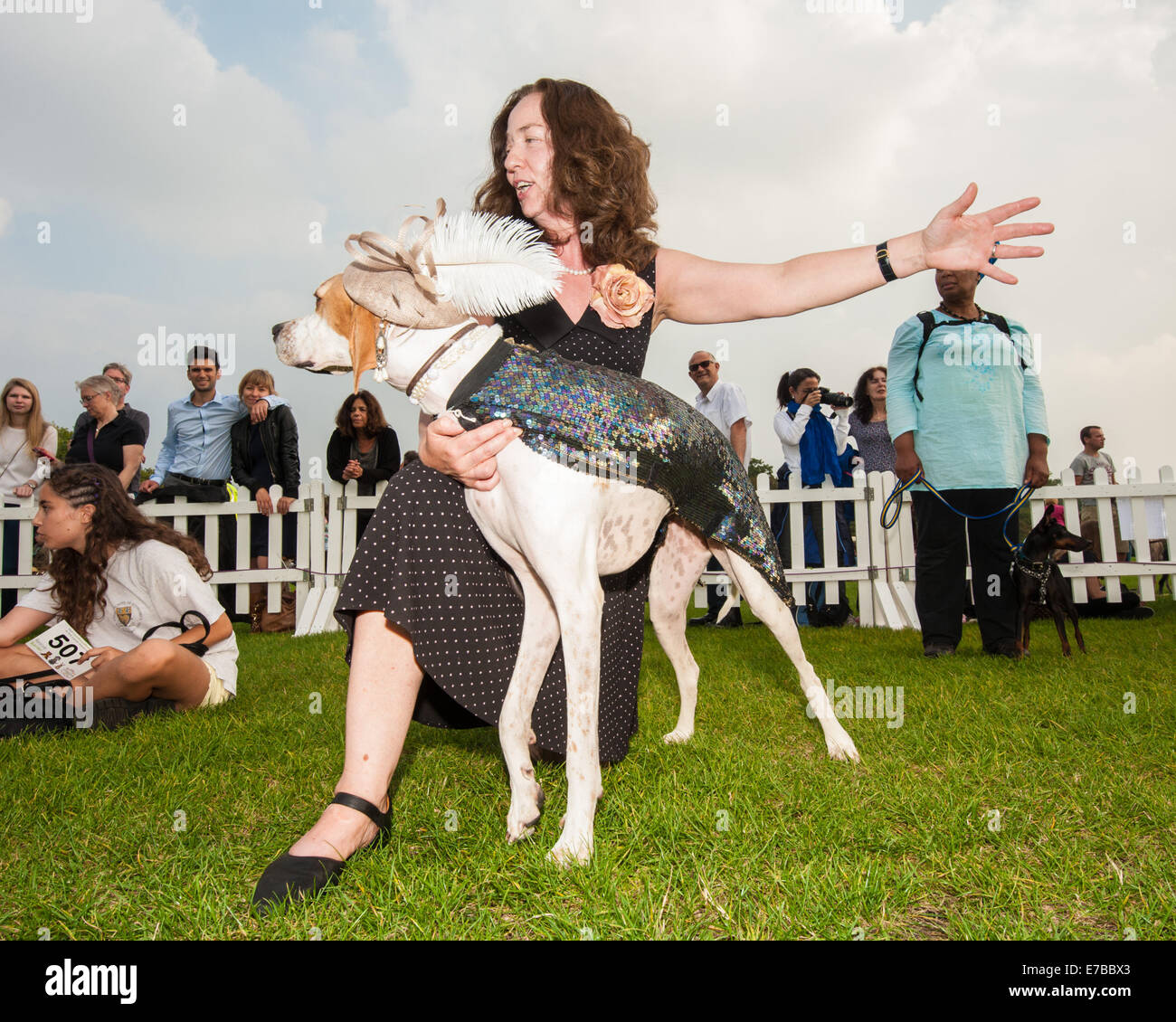 Most Stylish Pooch Class eventual winner Dottie [English Pointer] and ...