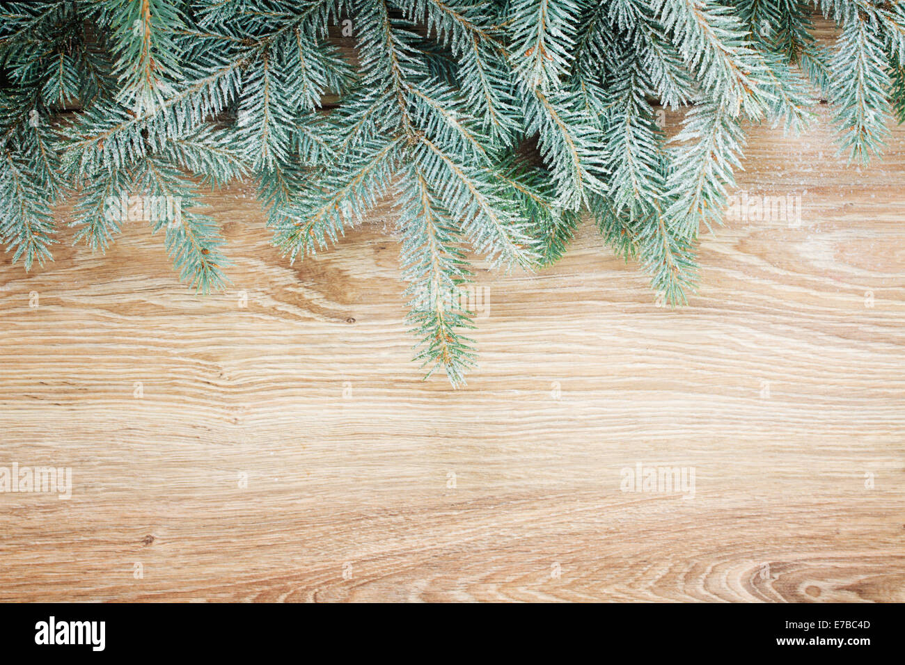 fir tree border Stock Photo - Alamy