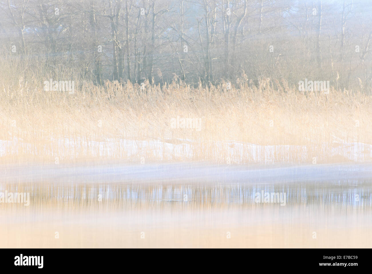 Riverbank grass hi-res stock photography and images - Alamy