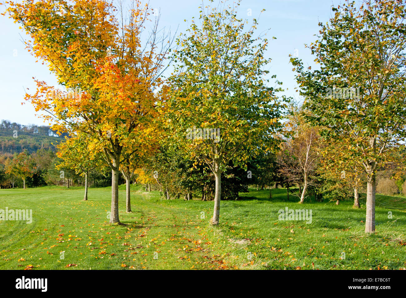 Season calendar grass sky hi-res stock photography and images - Alamy