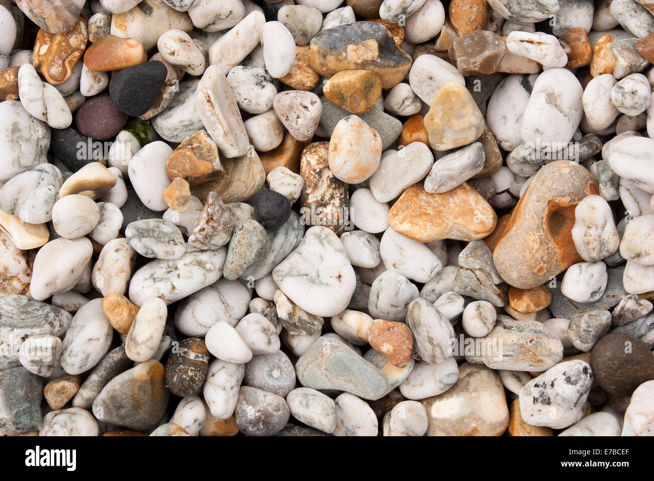 Stones and pebbles on a Cornish beach Stock Photo - Alamy