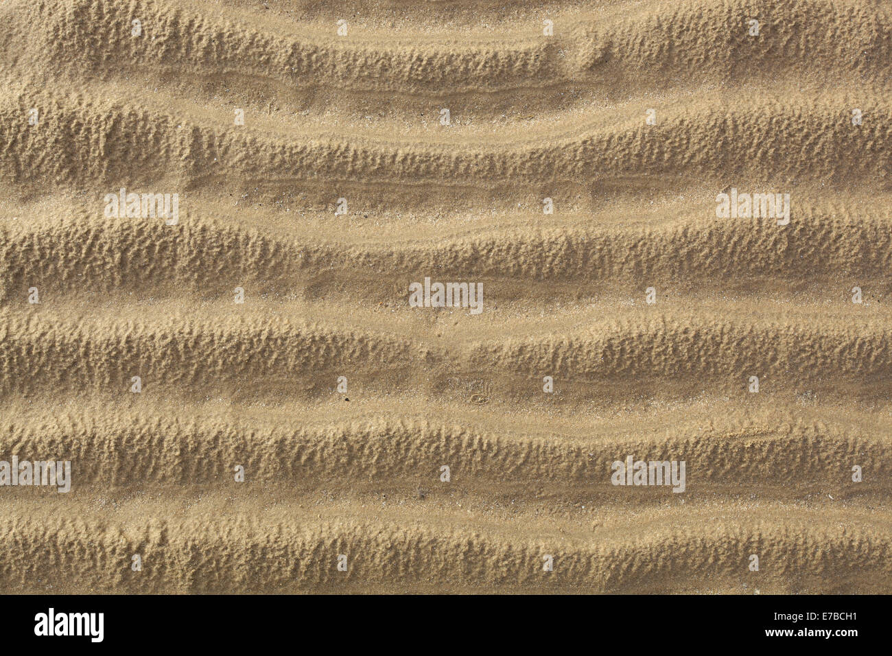 Beach foreshore shore line hi-res stock photography and images - Alamy
