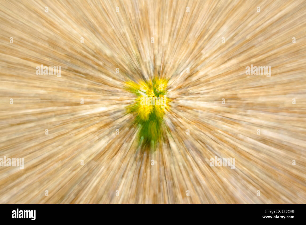 Abstract beach blur burst hi-res stock photography and images - Alamy
