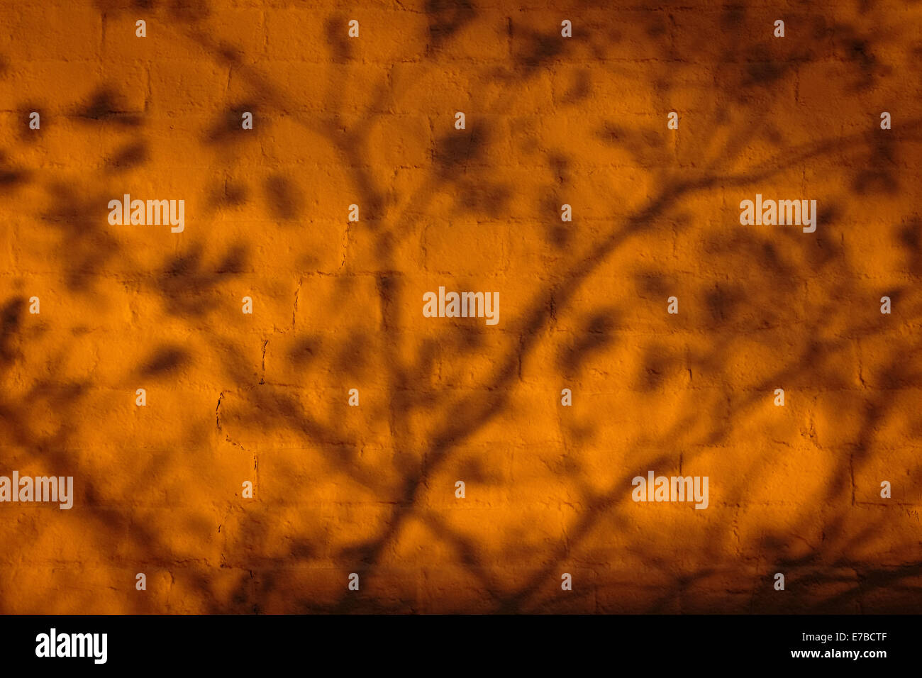 Sunset cast shadow hi-res stock photography and images - Alamy