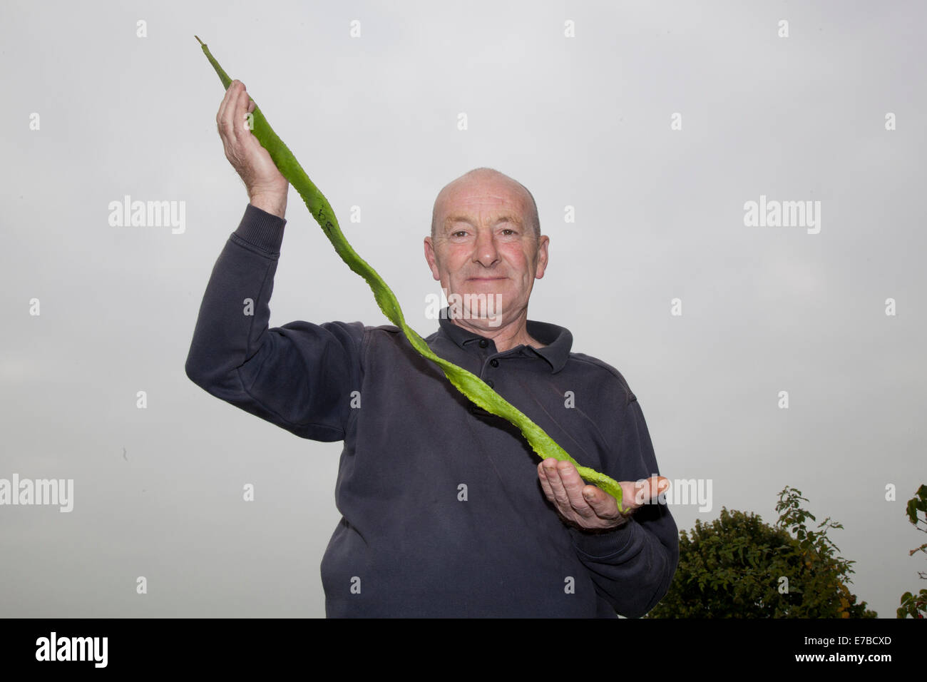 Giant vegetable grower Joe Atherton, from Mansfield Leeds, with his 36 ...