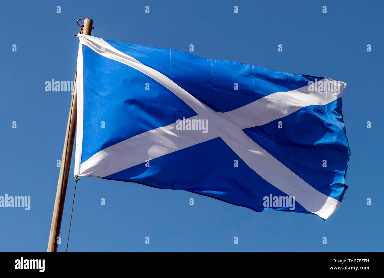 The Saltire, Scottish flag, flying against a blue sky, Oban, Scotland ...