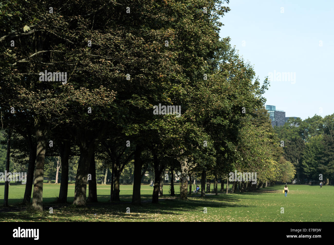 Open park hi-res stock photography and images - Alamy