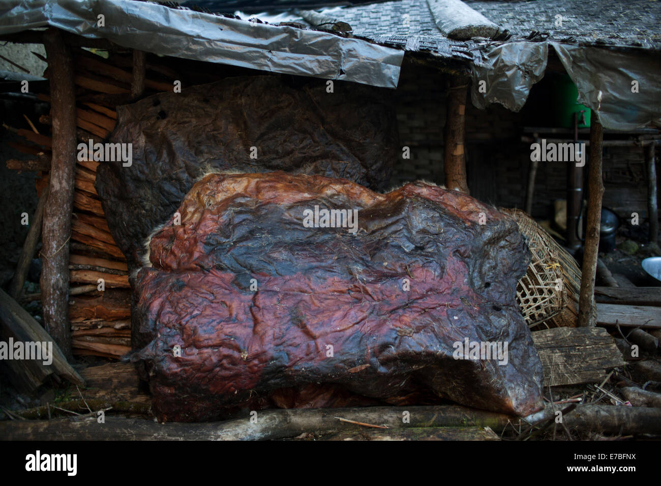 Yak skin being dried Stock Photo - Alamy
