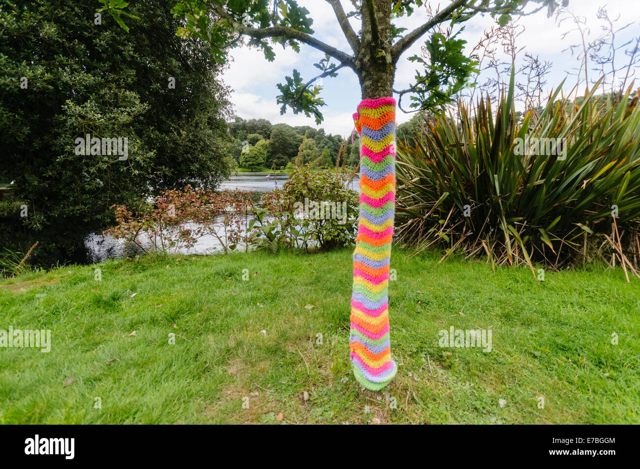 Yarn bombing tree hi-res stock photography and images - Alamy