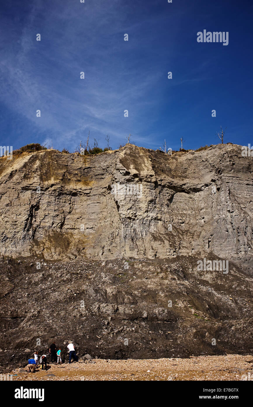 Fossil Cliffs, Jurassic Coast, Charmouth, Lyme Bay, West Dorset ...