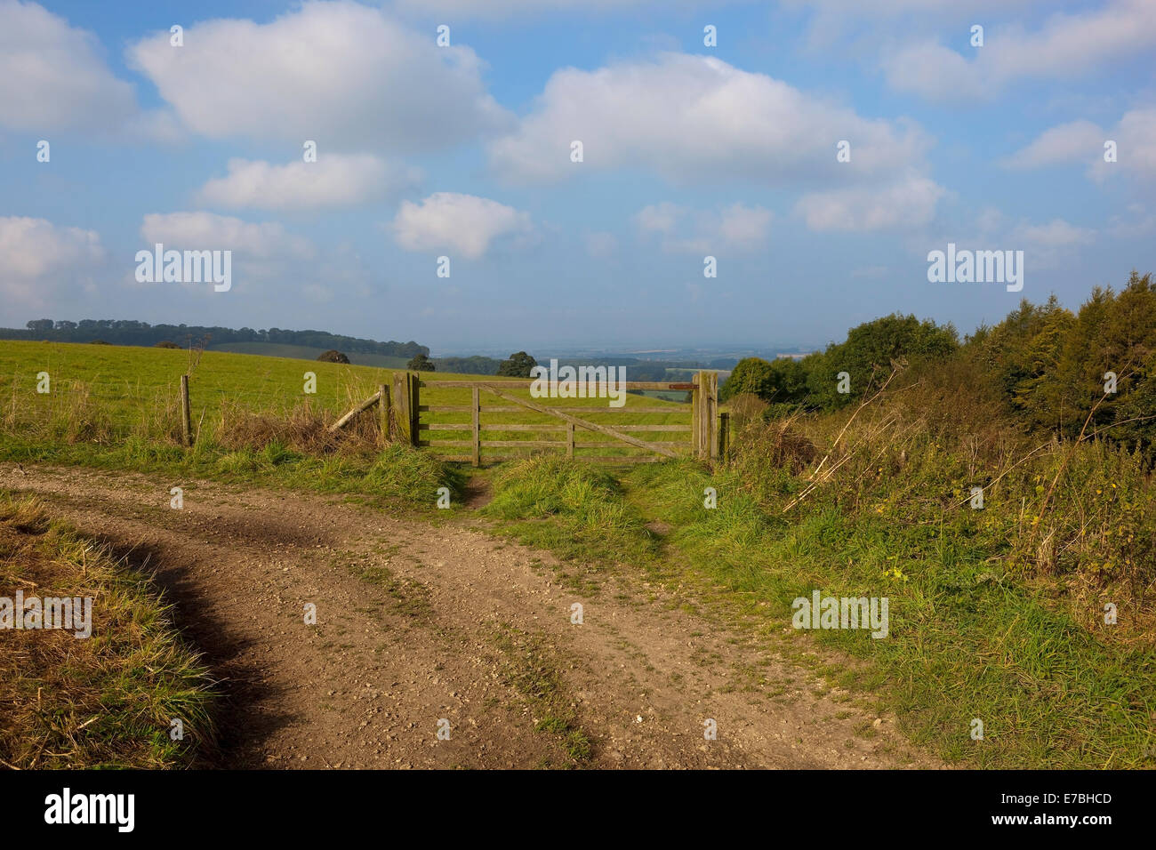 English landscape with a limestone track and wooden field gate to a ...