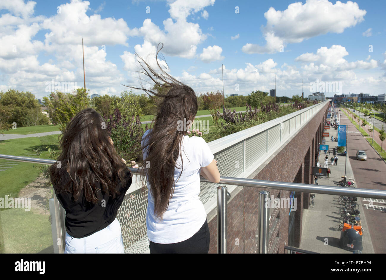 Aug. 13, 2014 - Rotterdam, South Holland, The Netherlands, Holland ...