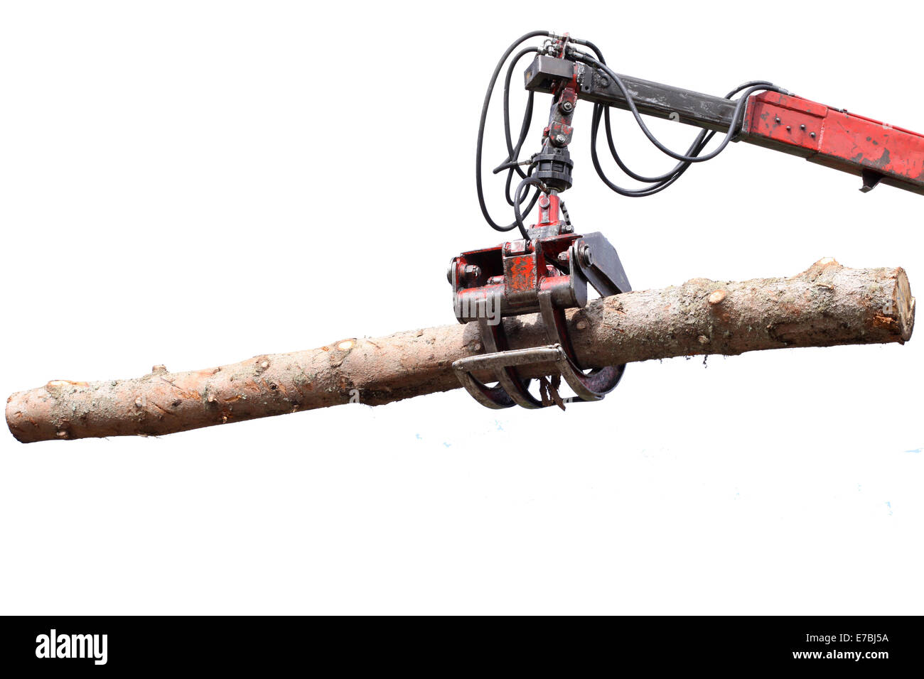 Jaws of a crane loading logs onto a truck, isolated Stock Photo - Alamy