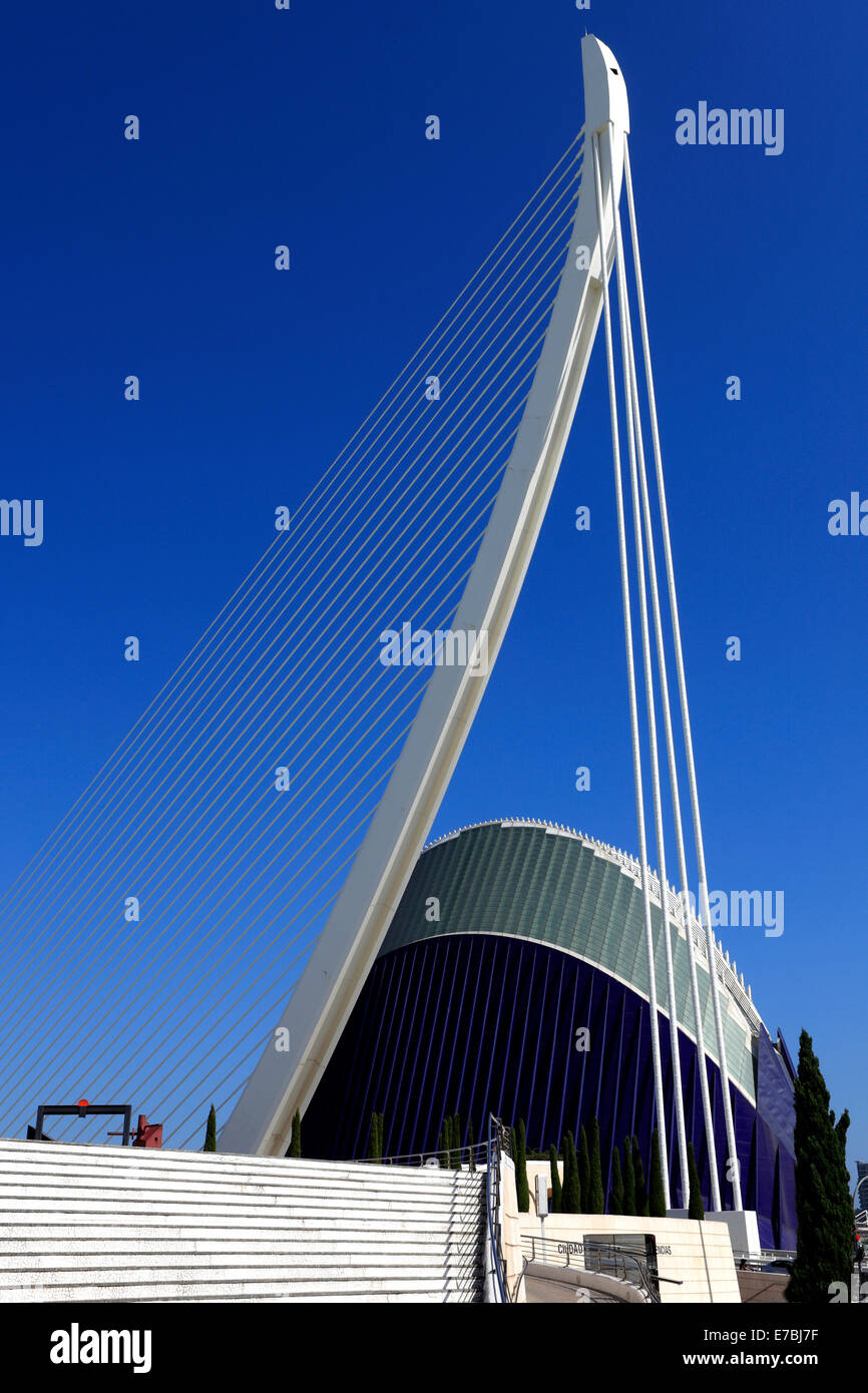 Puente de l'Assut de l'Or bridge and the Agora Hall, City of Arts and ...