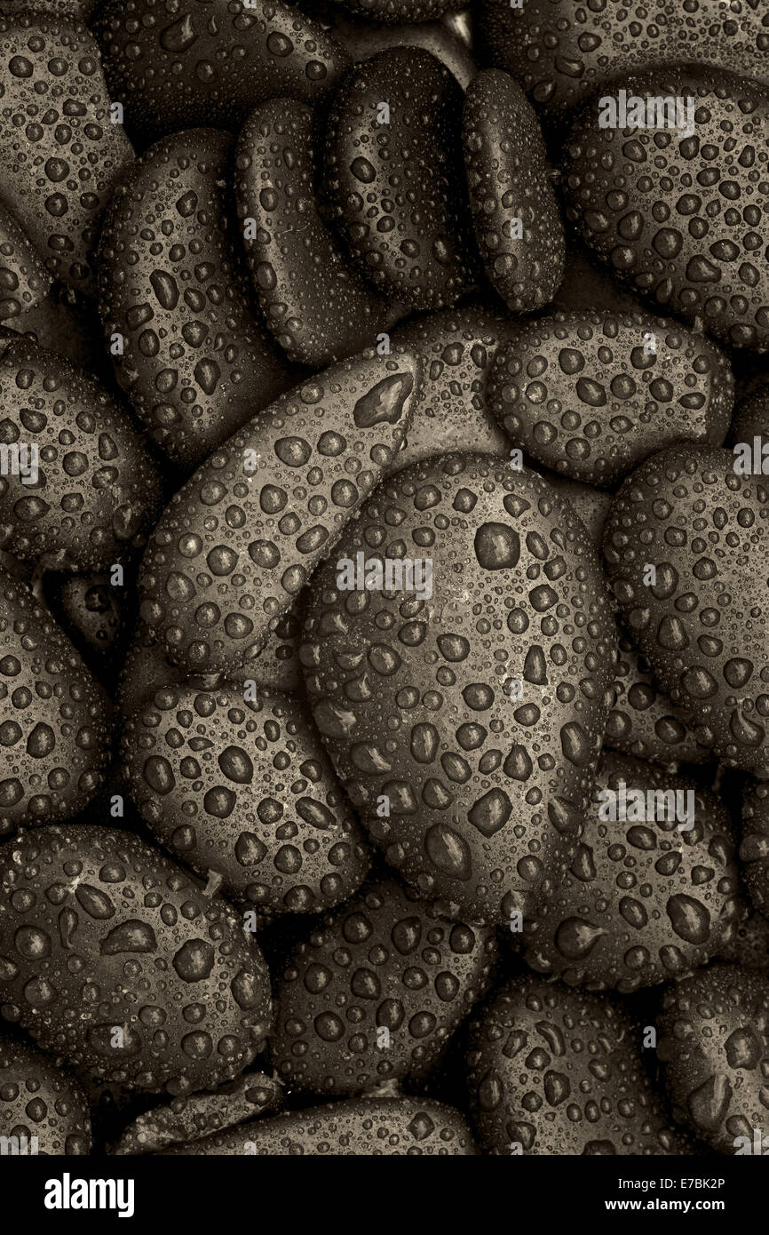 Rain Drops on Rocks in Monochrome Stock Photo - Alamy