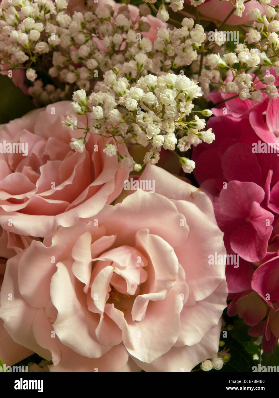 Close up bouquet beautiful roses hi-res stock photography and images ...