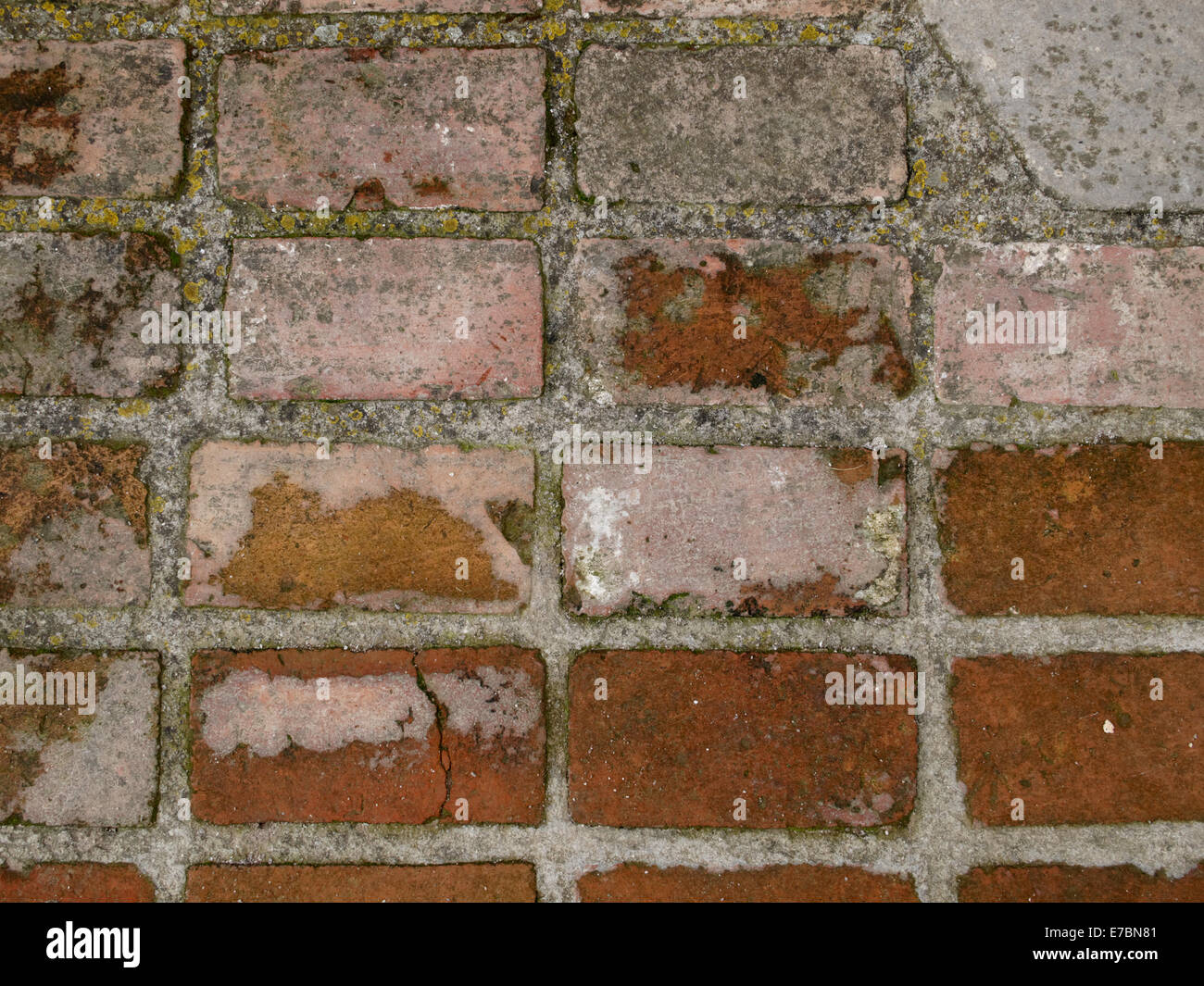 Detail of brick floor from Istria, Croatia Stock Photo - Alamy