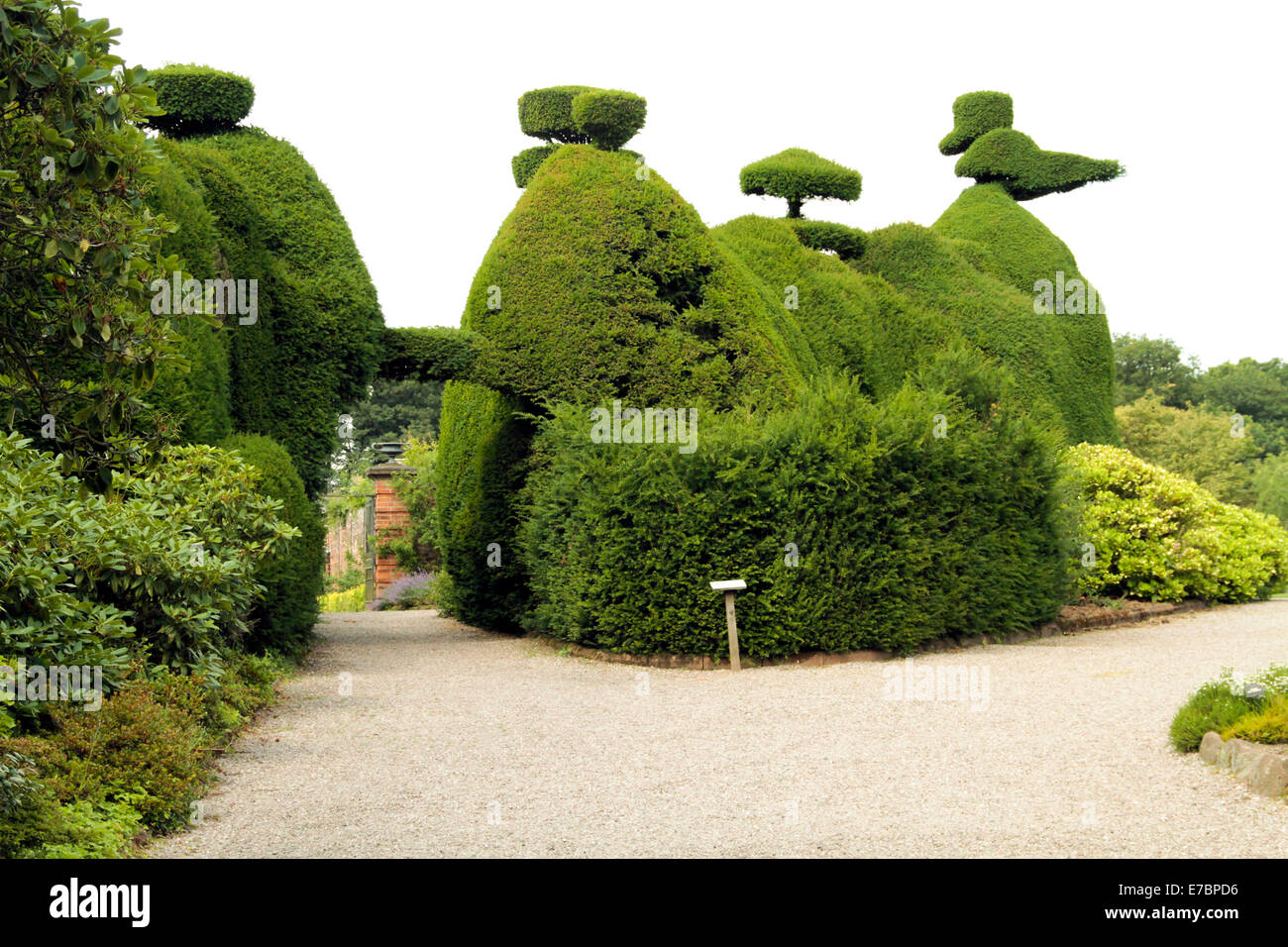 Topiary plant hi-res stock photography and images - Alamy