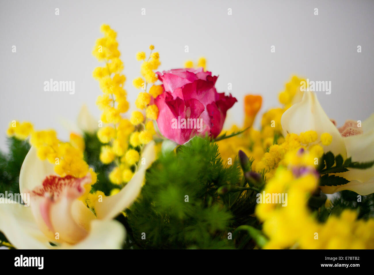 Rose three flower head leaf hi-res stock photography and images - Alamy