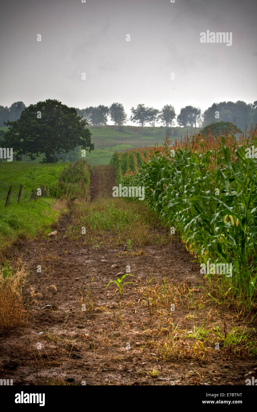 Travel location trees nature countryside walking hiking outside fields ...