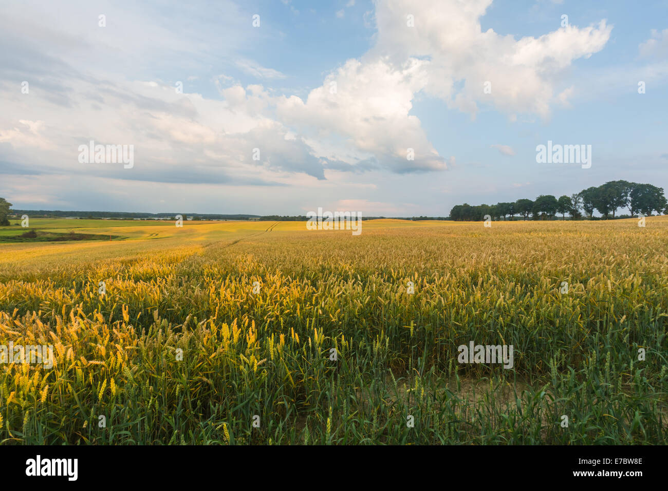 Nice field hi-res stock photography and images - Alamy