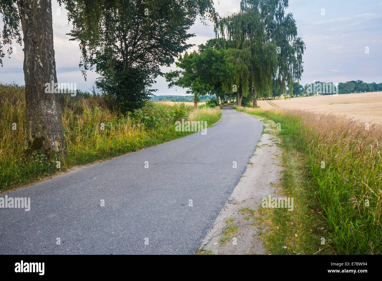 Landscape with asphalt rural road Stock Photo - Alamy