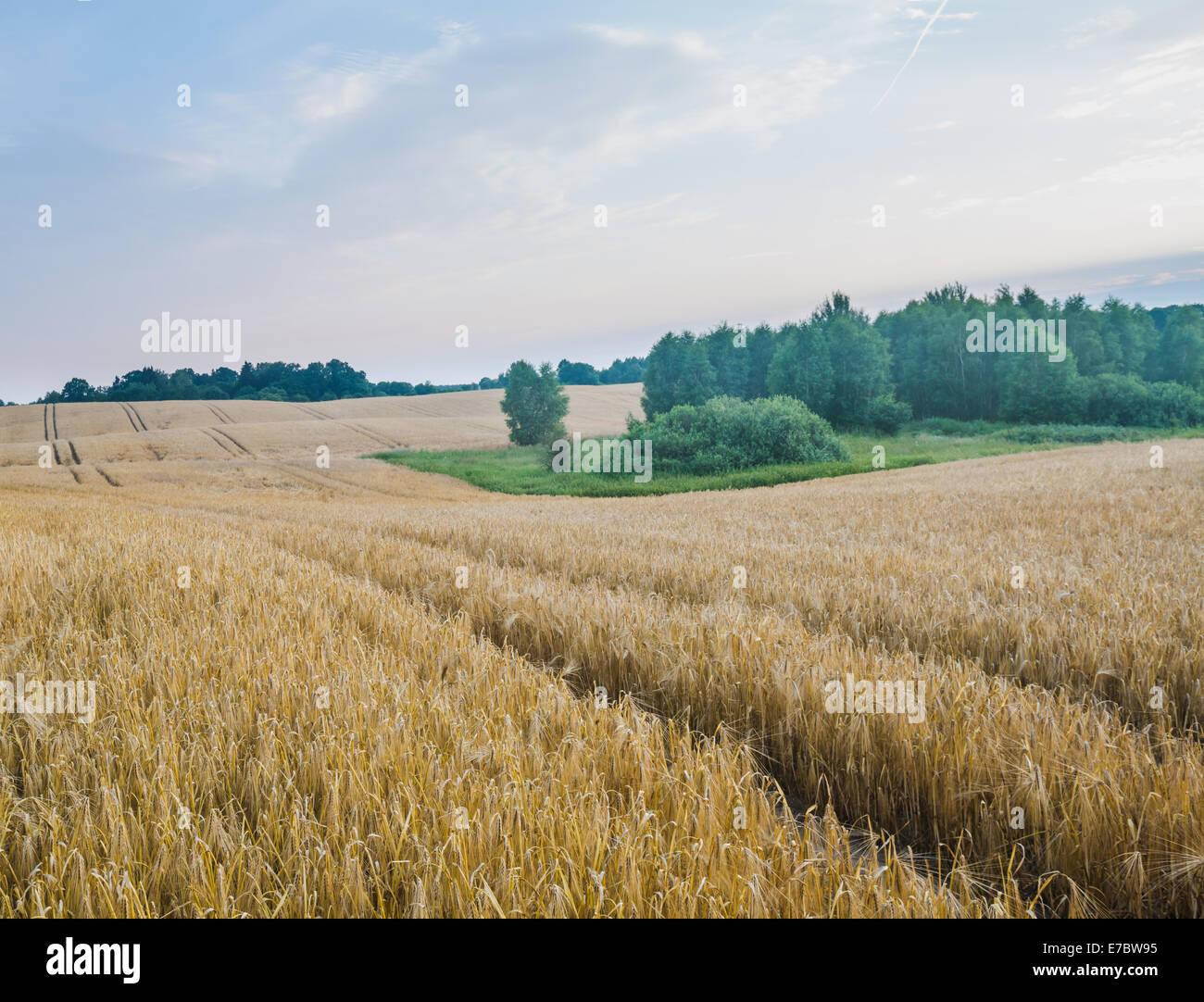 Nice field hi-res stock photography and images - Alamy