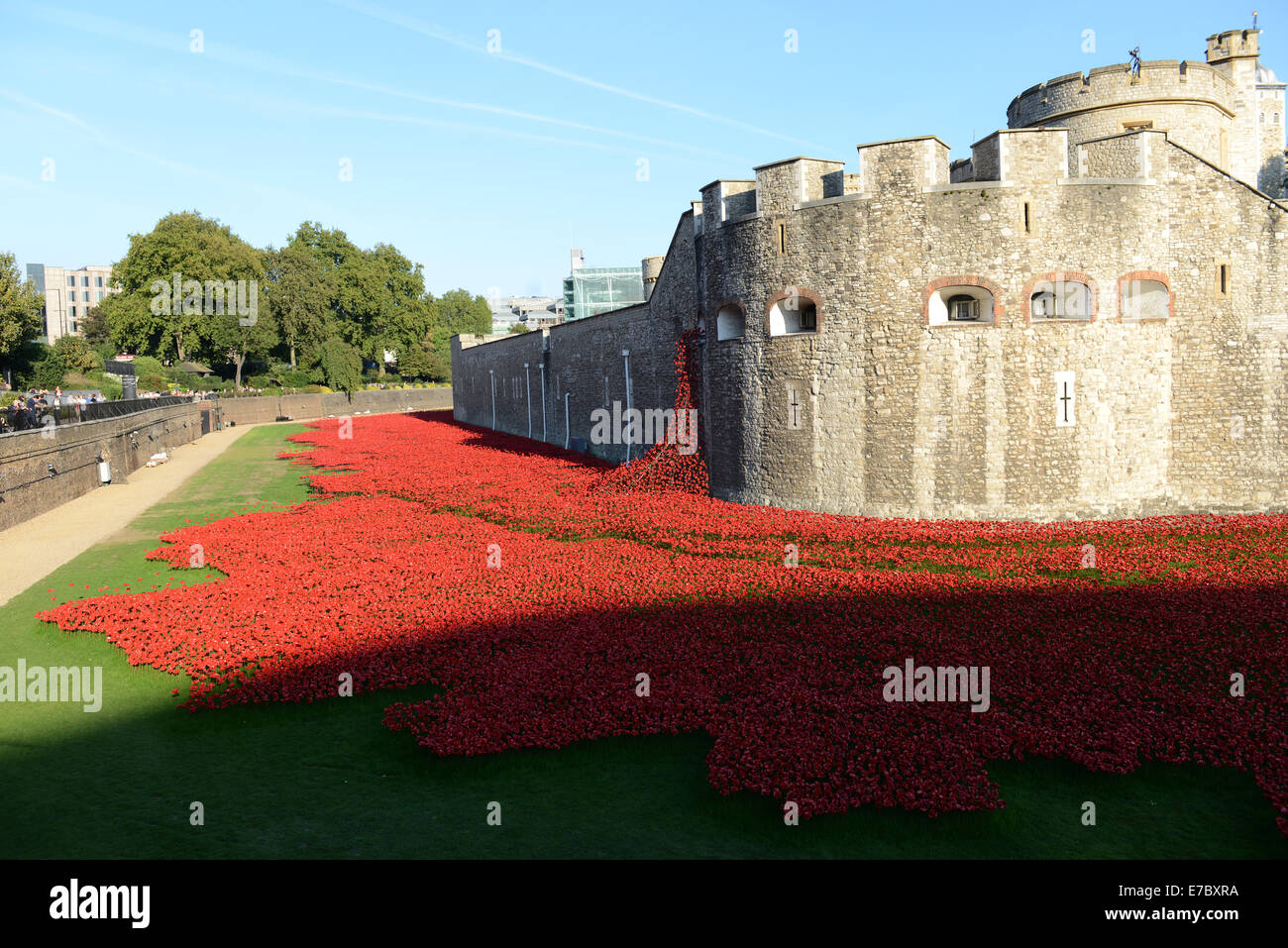 'Blood Swept Lands and Seas of Red' by artist Paul Cummins, at the ...