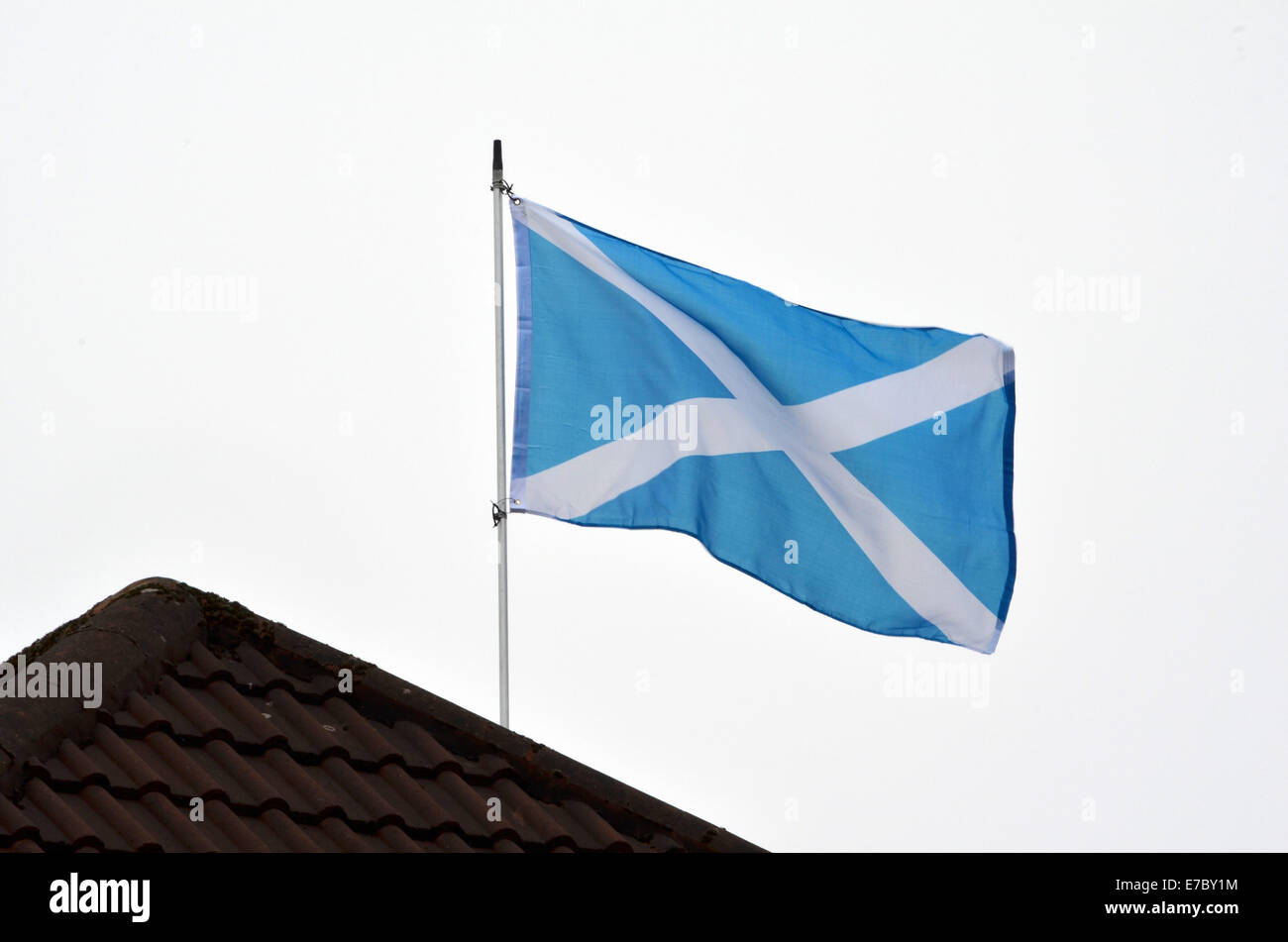 Scotland independence flag hi-res stock photography and images - Alamy