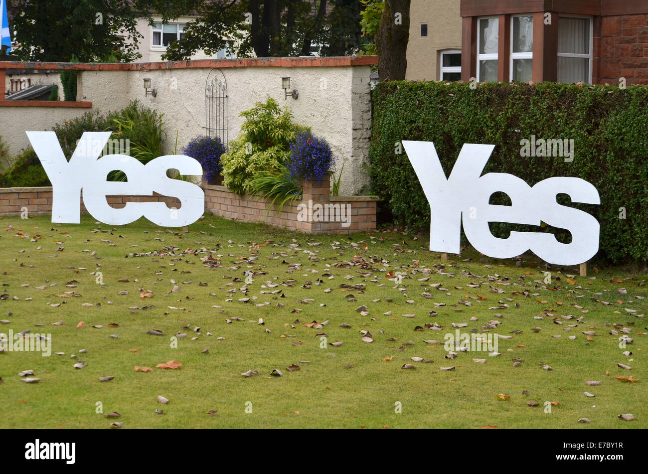 BIG YES signs in a garden in Glasgow, Scotland Stock Photo - Alamy