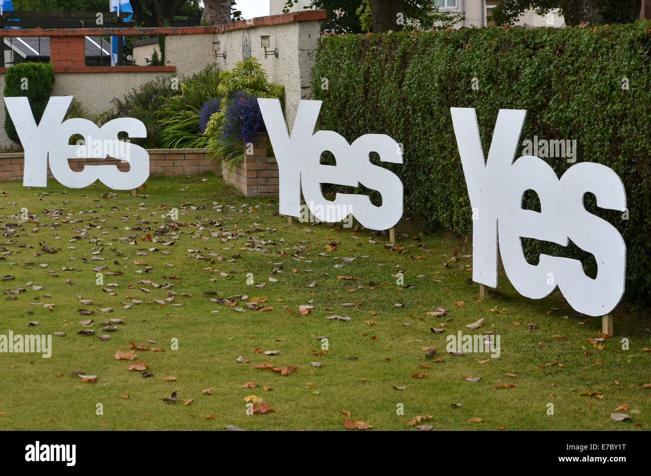 Yes scotland hi-res stock photography and images - Alamy