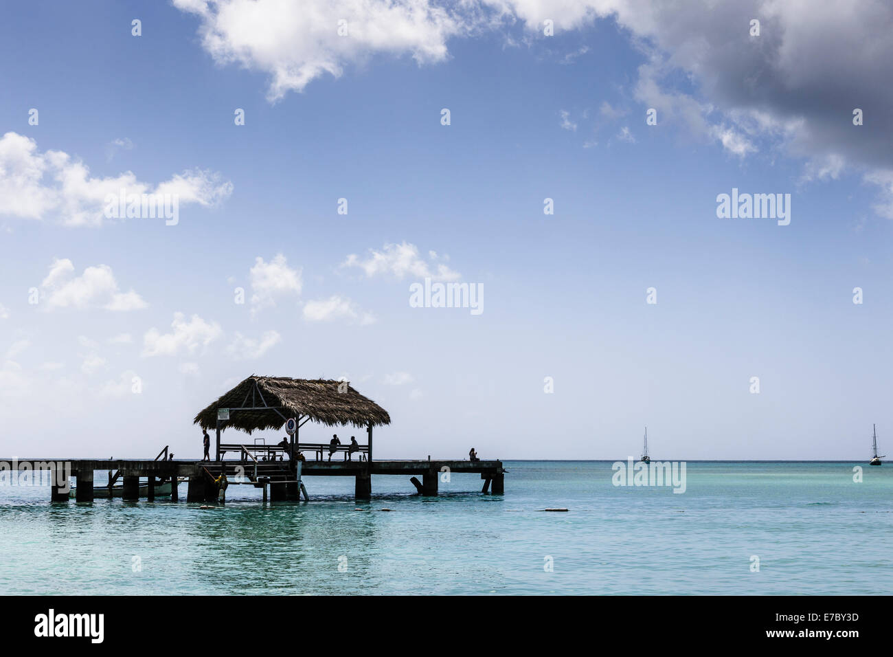 Pigeon store hi-res stock photography and images - Alamy