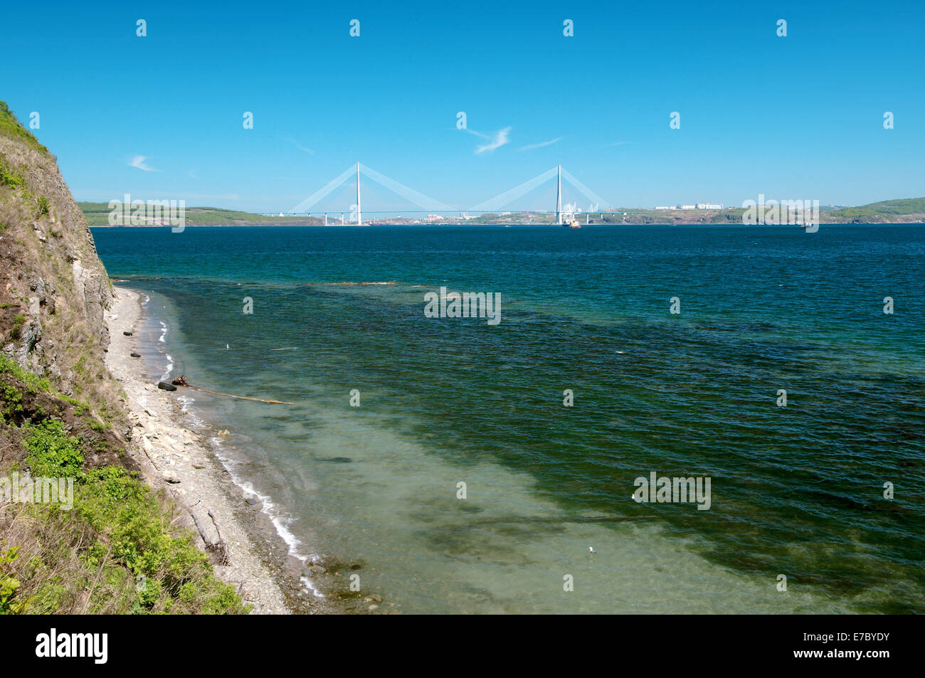 Cable-stayed bridge on the Russky Island, Vladivostok, Sea of Japan ...