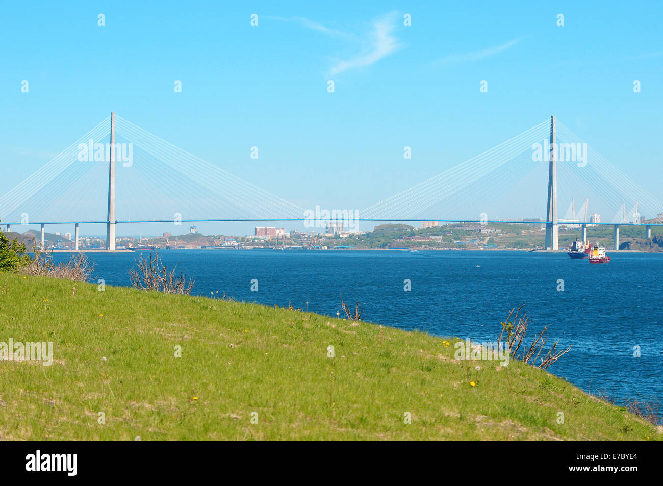 Cable-stayed bridge on the Russky Island, Vladivostok, Sea of Japan ...