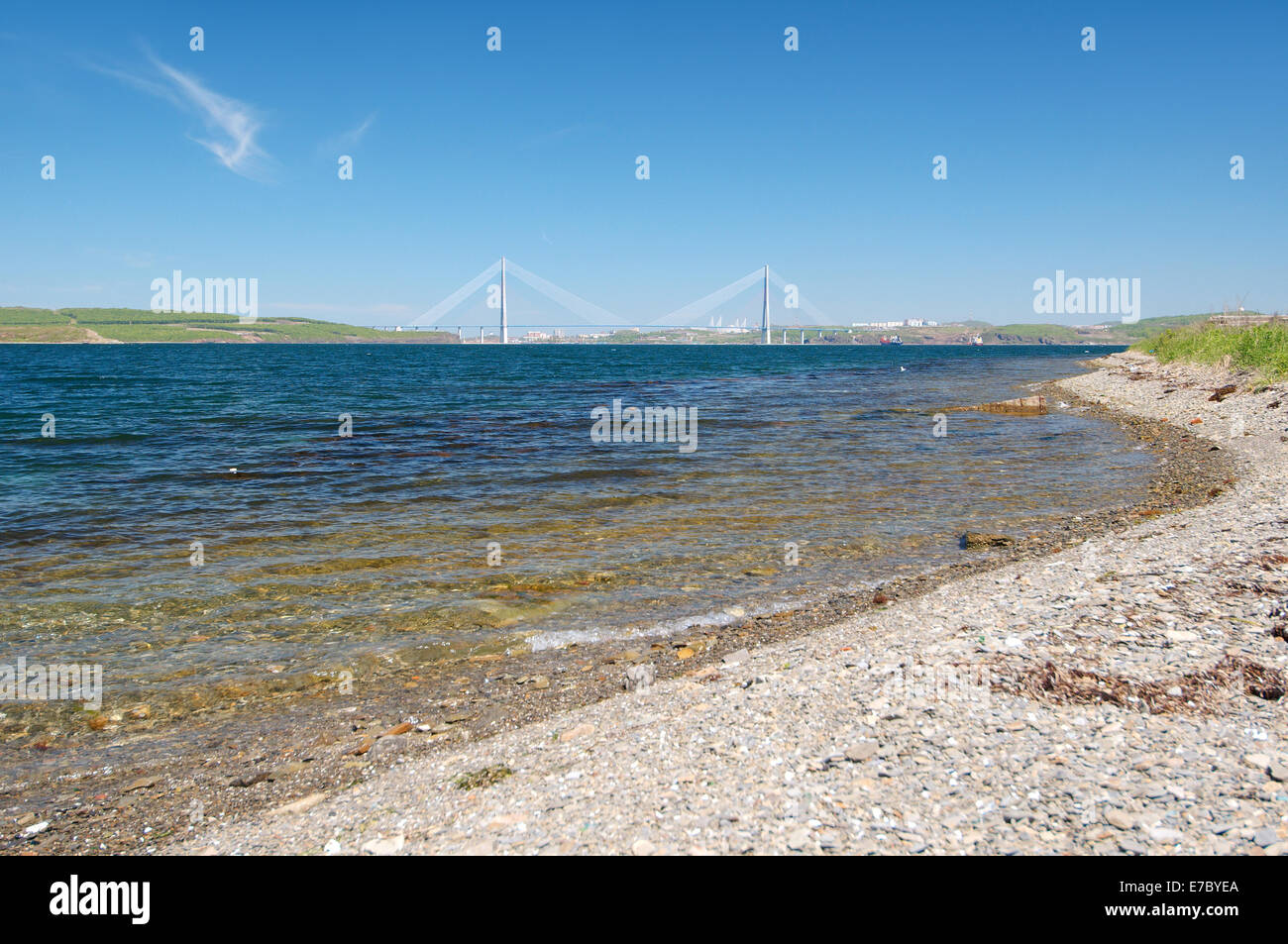 Cable-stayed bridge on the Russky Island, Vladivostok, Sea of Japan ...