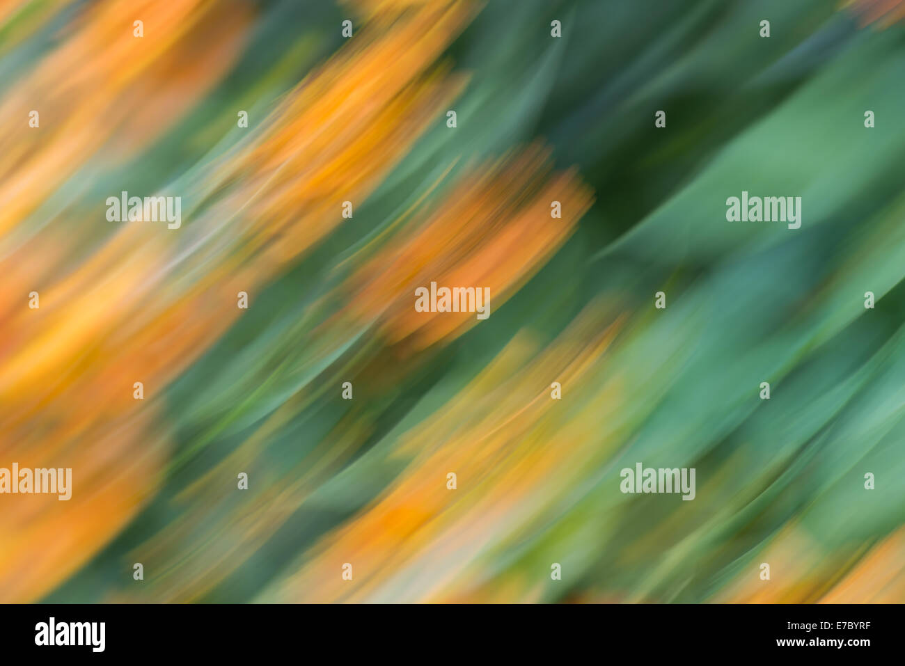 Abstract background in yellow and green colors, photo art Stock Photo ...