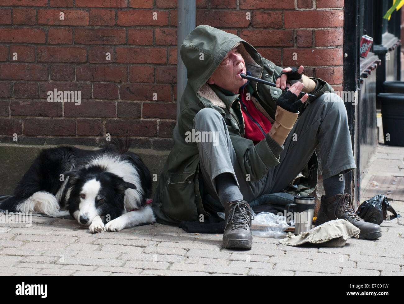 Busker With Dog High Resolution Stock Photography and Images - Alamy