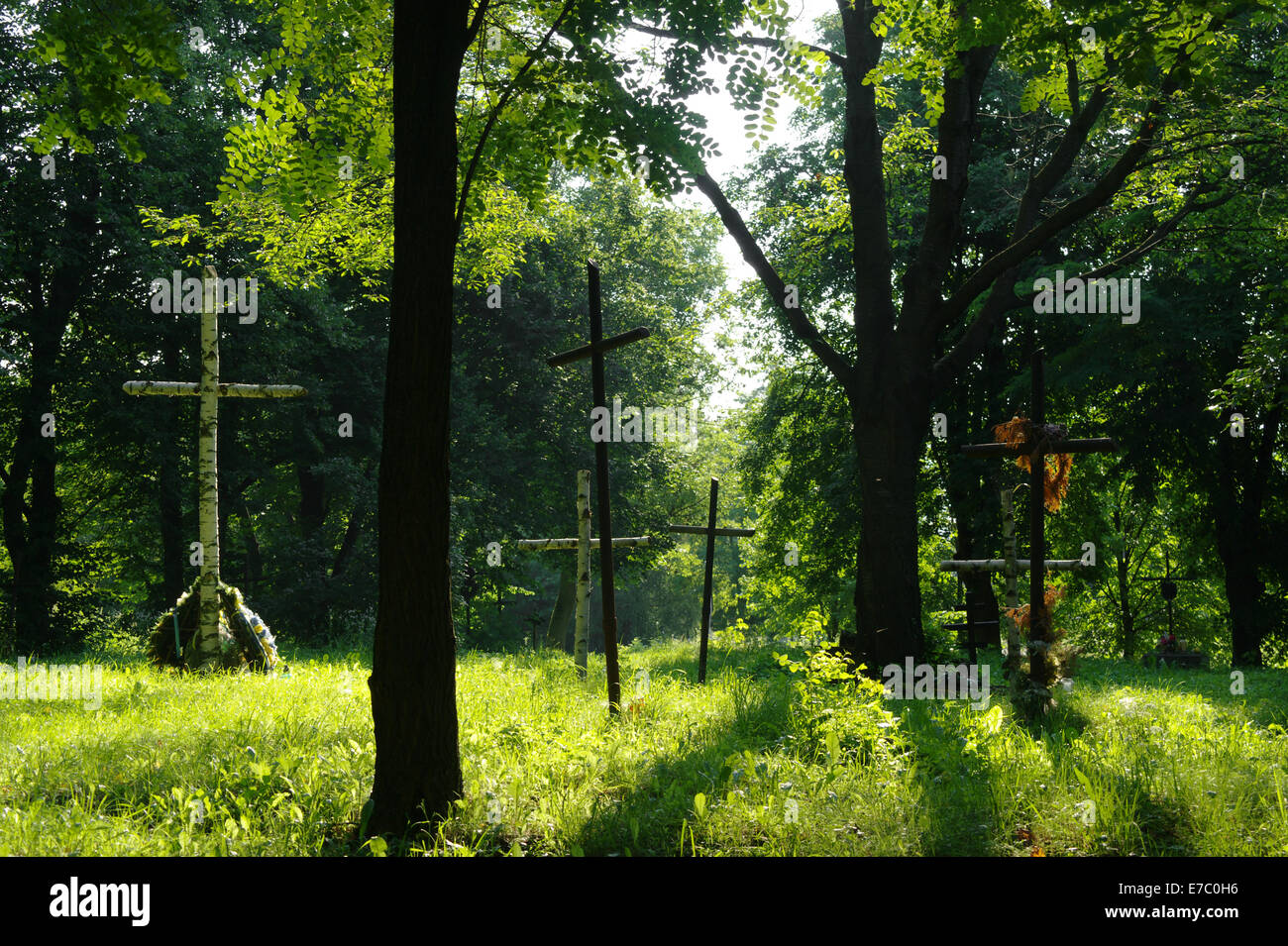 cemetery in a forest Stock Photo - Alamy