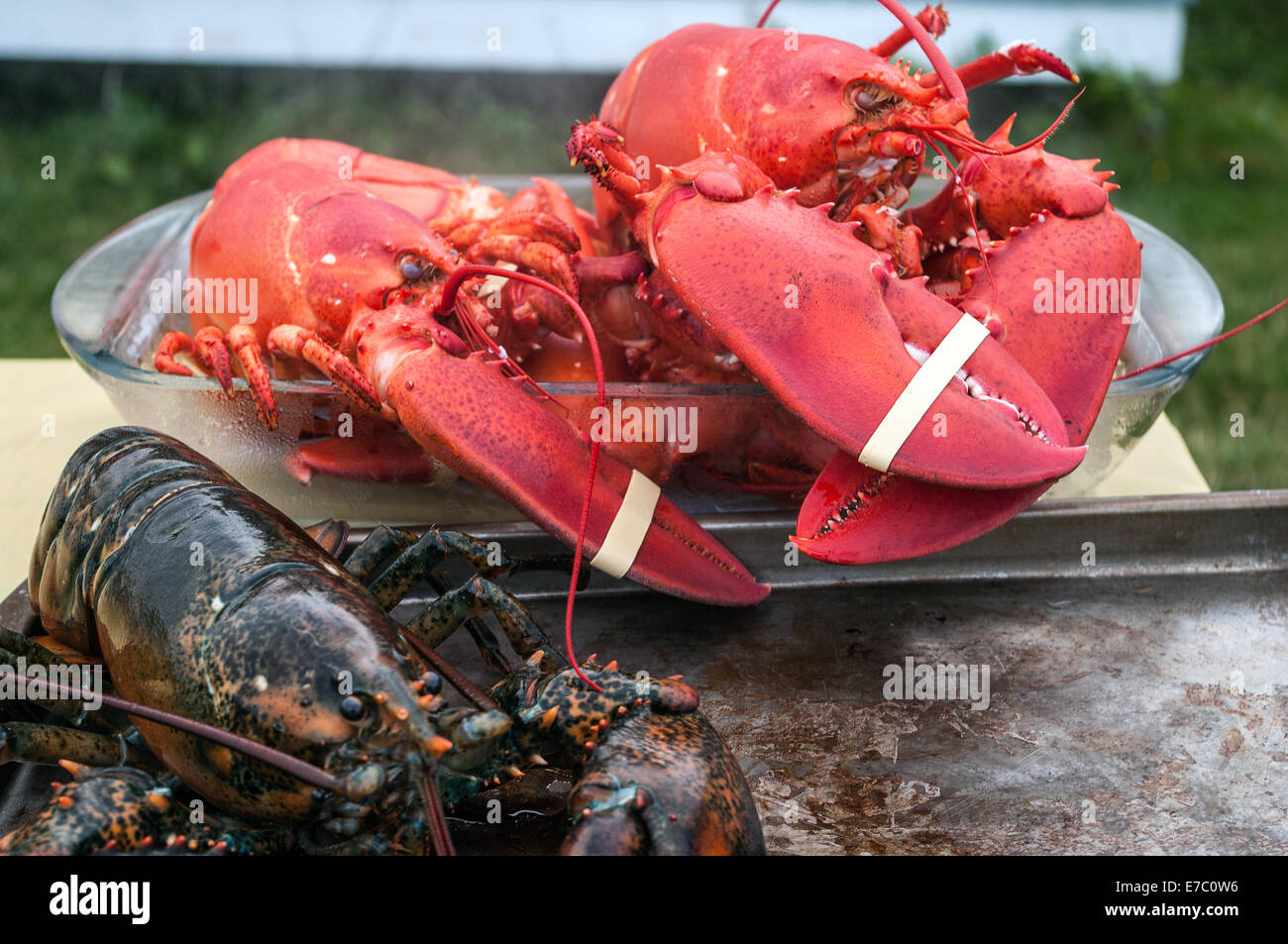 New brunswick food hi-res stock photography and images - Alamy