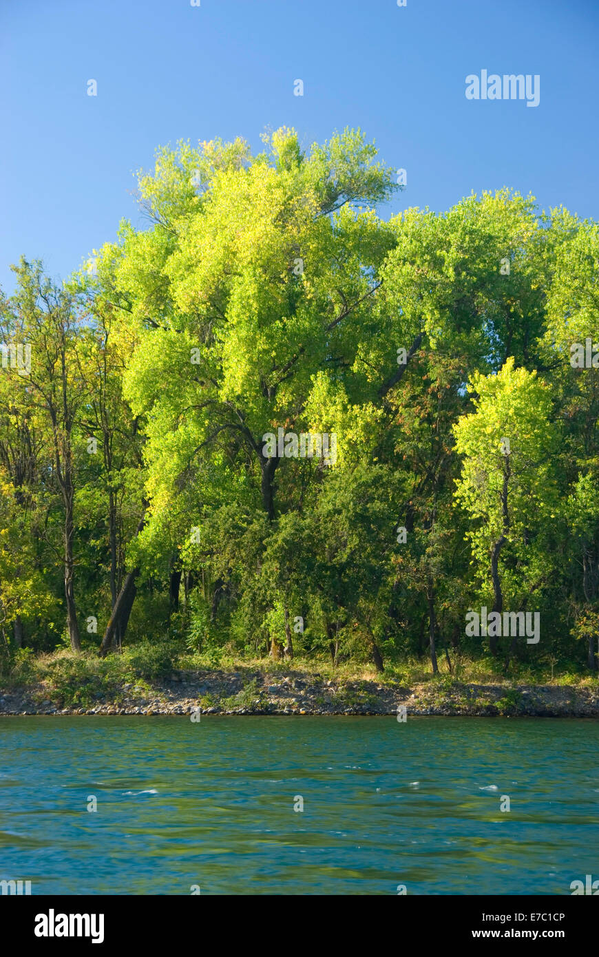 Sacramento River, Turtle Bay Exploration Park, Redding, California ...
